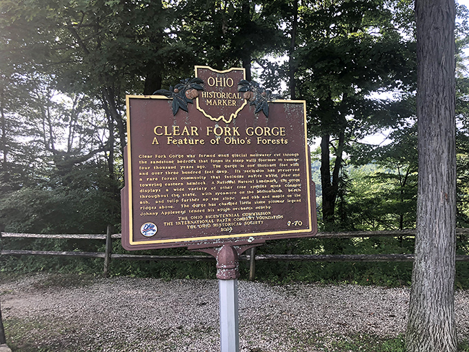 History etched in bronze tells the story of Clear Fork Gorge. This isn't just any ravine&mdash;it's Ohio's geological masterpiece carved over countless millennia.
