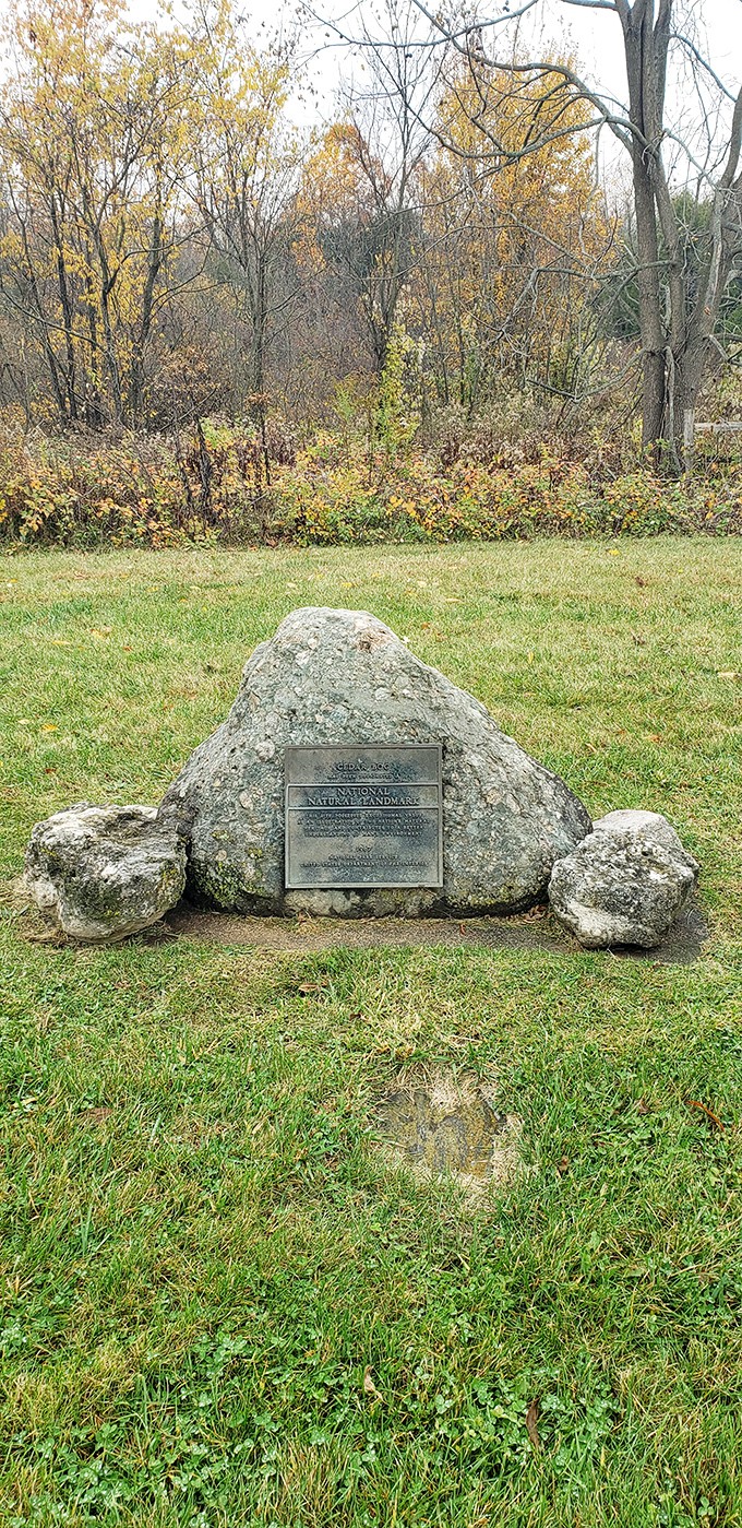 A glacial boulder bears testament to Cedar Bog's National Natural Landmark status, silently proclaiming, "I've been here since the Ice Age, and I'm not leaving."