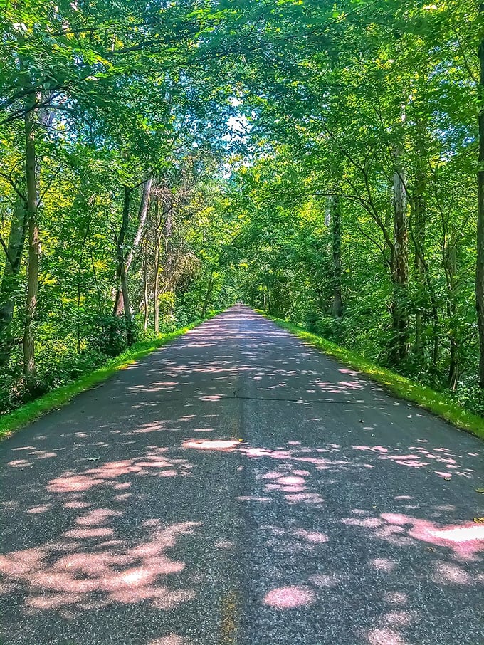 The Holmes County Trail cuts through a cathedral of trees, offering a shaded sanctuary where calories consumed in town can be happily walked off.