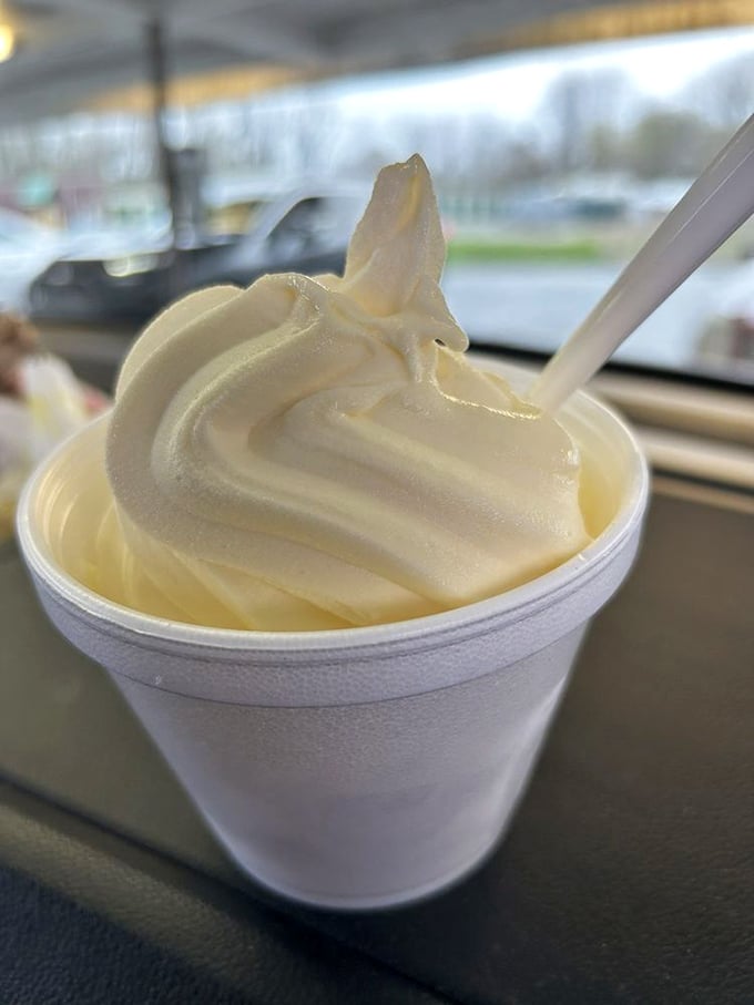 Soft serve so perfectly swirled it belongs in an art gallery, though it's destined for a much happier fate.