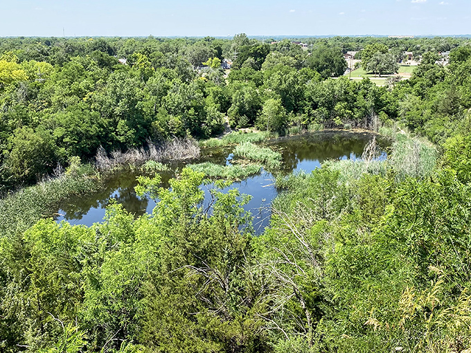 Indian Rock Park provides nature's therapy session without the hourly rate. This serene water view comes with complimentary duck conversations.