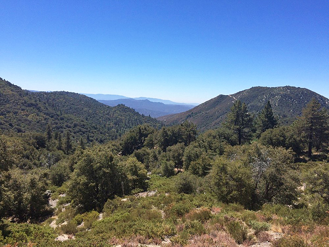 A vista so expansive it makes your problems seem appropriately tiny. The mountains roll away like waves in a petrified ocean.