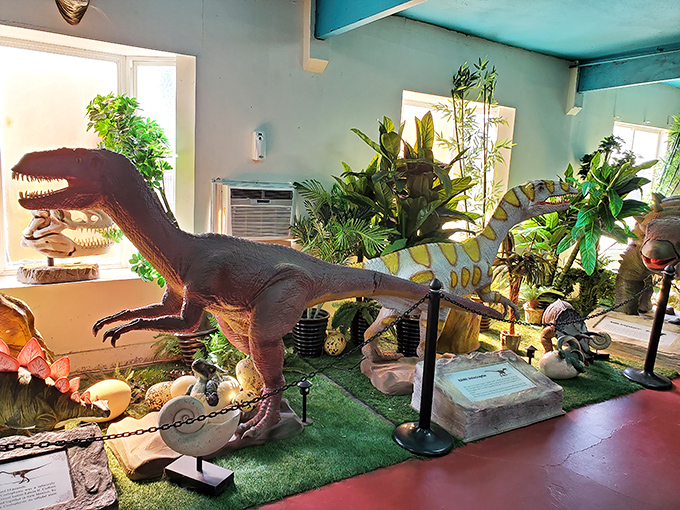 Indoor jungle meets prehistoric playground. These detailed dino displays bring the Jurassic period to life without the pesky danger of being eaten.