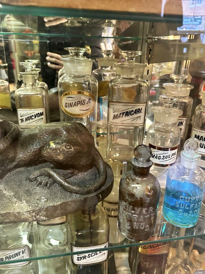These vintage apothecary bottles once contained mysterious elixirs and remedies&mdash;now they're conversation pieces that outshine any modern medicine cabinet.
