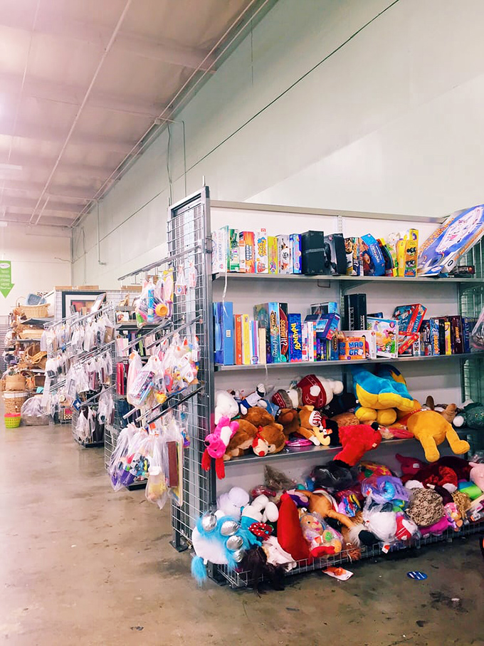 Stuffed animals and toys create a playground where childhood memories come flooding back like Saturday morning cartoons