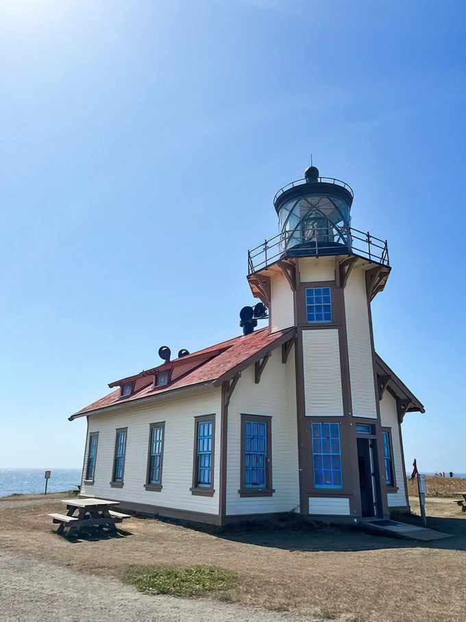 This lighthouse hasn't just guided ships &ndash; it's photobombed thousands of tourist photos with its quintessential coastal charm.