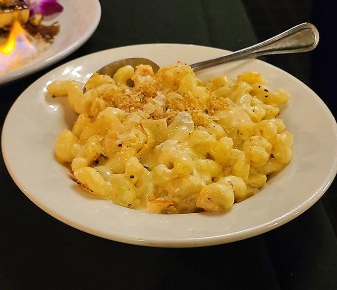 Mac and cheese that's had a serious promotion from its boxed childhood. This grown-up version went to culinary school and graduated with honors.