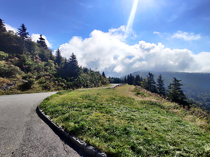 The Blue Ridge Parkway curves like a gentle promise, delivering you to vistas that make smartphone cameras admit defeat.
