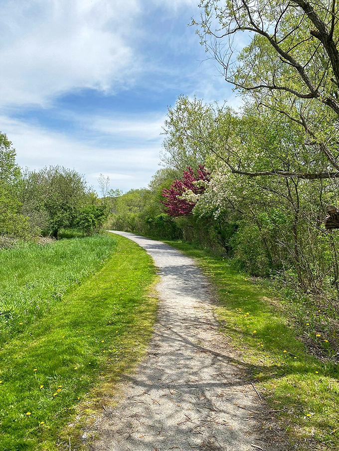 Nature trails wind through Knox Farm's lush landscape, offering the perfect escape for when your phone battery dies and you're forced to look up.