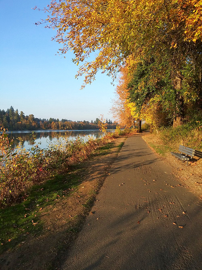 Minto-Brown Island Park's autumn trails offer the kind of seasonal eye candy that makes you forgive Oregon for its rainy days.