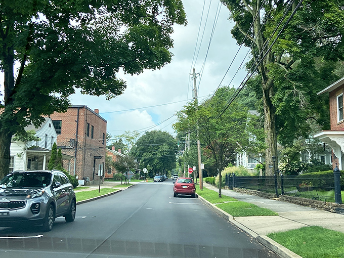 Tree-lined residential streets where porch swings and garden gates tell you more about the neighborhood than any real estate listing could.