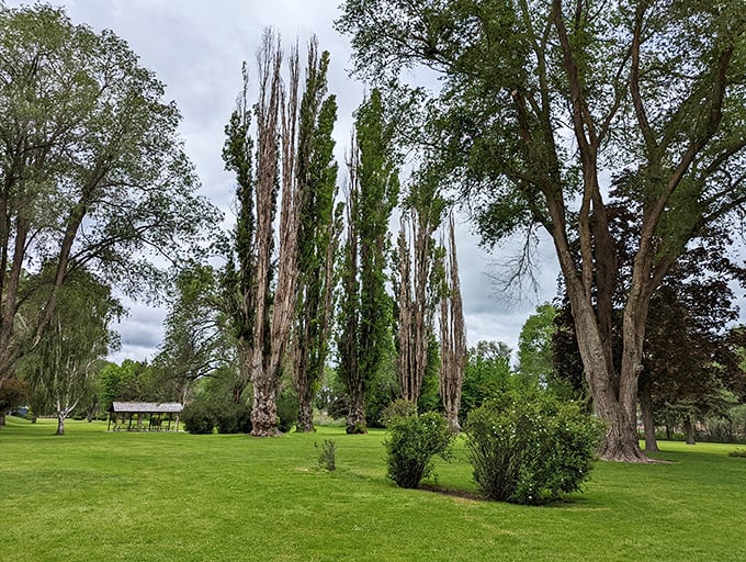 Ochoco Creek Park's towering trees stand like old friends, offering shade and serenity in equal measure to generations of locals.