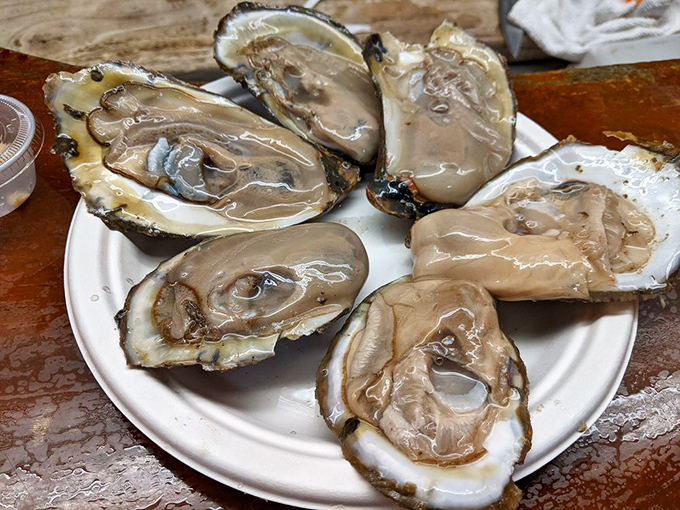 These oysters aren't just served &ndash; they're presented, like the briny jewels of the Chesapeake that they are. Mignonette sauce optional, amazement guaranteed.