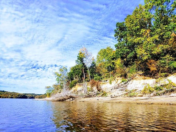 Mother Nature's masterclass in erosion created these dramatic shoreline cliffs, proving Ohio has geological swagger if you know where to look.
