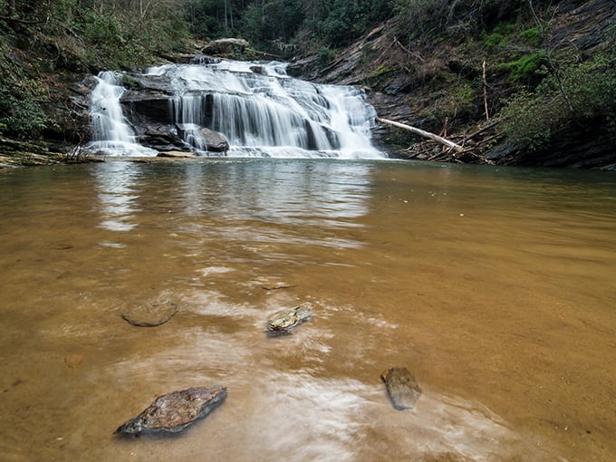 Panther Creek Falls cascades with hypnotic grace, creating nature's version of a meditation app&mdash;but with better resolution and no subscription fee.