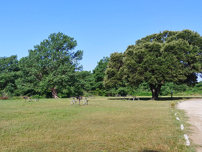 These picnic tables have hosted more family memories than most living rooms. Simple wooden platforms transformed into celebration stages.