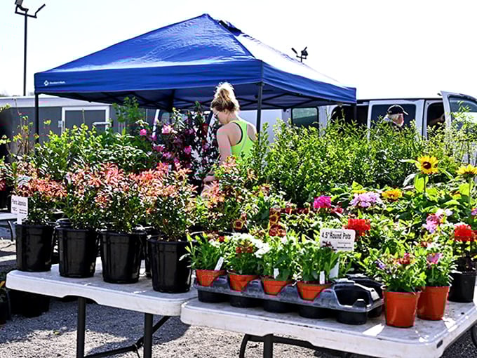 A riot of color and fragrance! Garden enthusiasts browse potted treasures that will transform bland yards into personal botanical showcases.