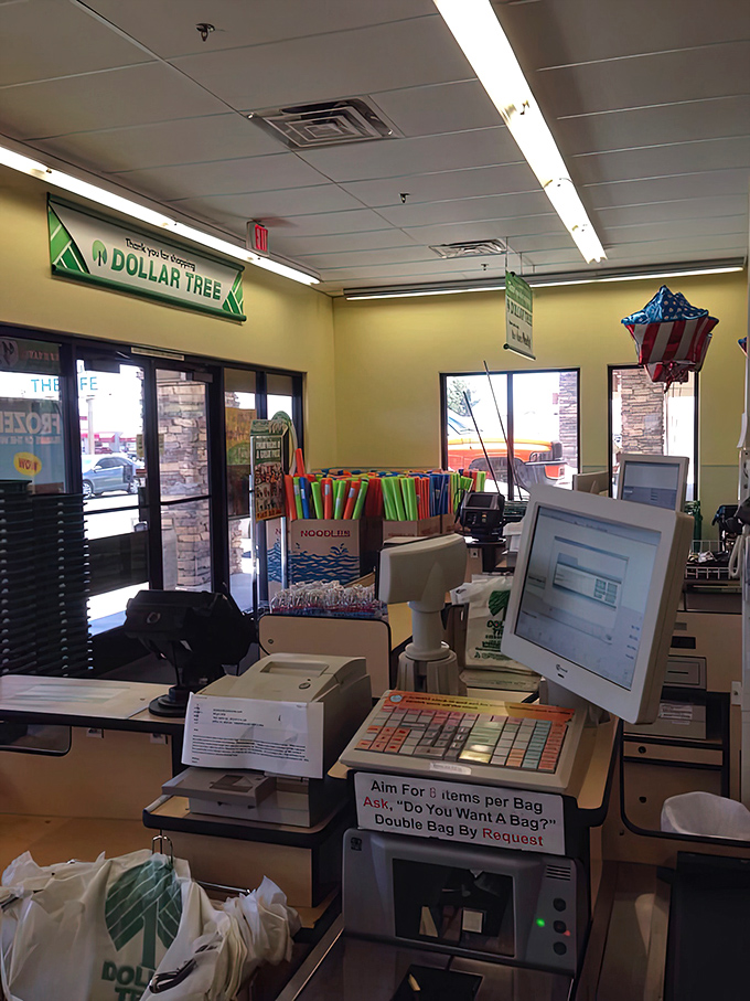 The command center of bargain operations, where pool noodles stand at attention and registers transform dollars into treasures.