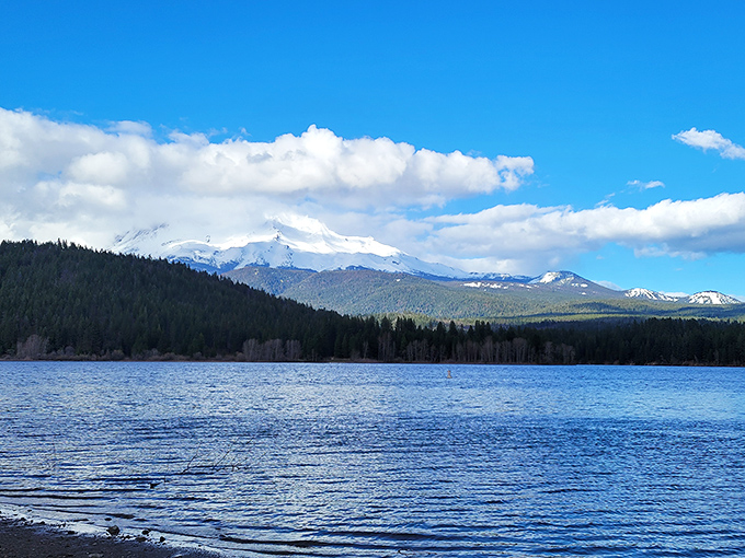 Camping with a soundtrack of rushing water. This forest stream provides both scenery and the world's most soothing white noise machine.