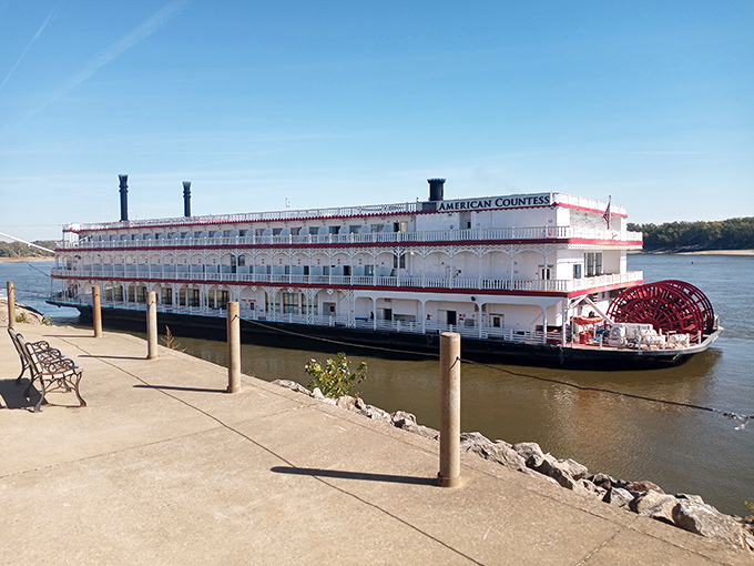 The American Countess riverboat docks along Cape's riverfront, a magnificent floating time machine that recalls the golden age of Mississippi River travel.