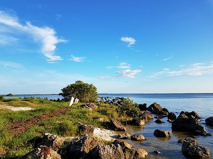 Nature's rock garden meets gentle Gulf waters at the beach's edge, creating miniature ecosystems waiting to be explored.