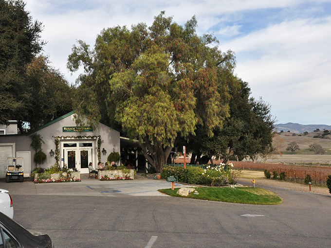 Rusack Vineyards welcomes visitors with California wine country charm. Danish pastries and local Pinot Noir&mdash;a match made in heaven.