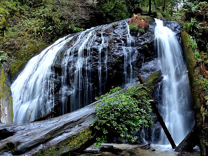 Russian Gulch waterfall doesn't just flow&mdash;it performs, turning the fern-lined forest into nature's version of a Broadway show.