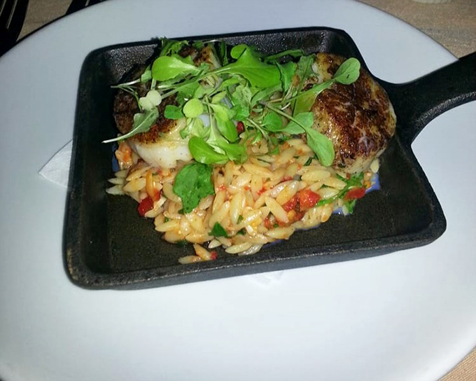 These scallops aren't just seafood; they're little ocean jewels, perfectly seared and nestled on a bed of orzo that's ready for its close-up.