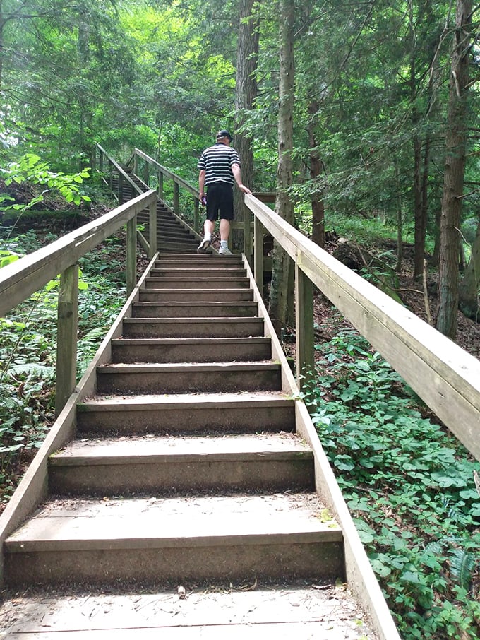 These stairs might as well be labeled "Stairway to Heaven" or at least "Path to Really Impressive Views That Make the Climb Worth It."