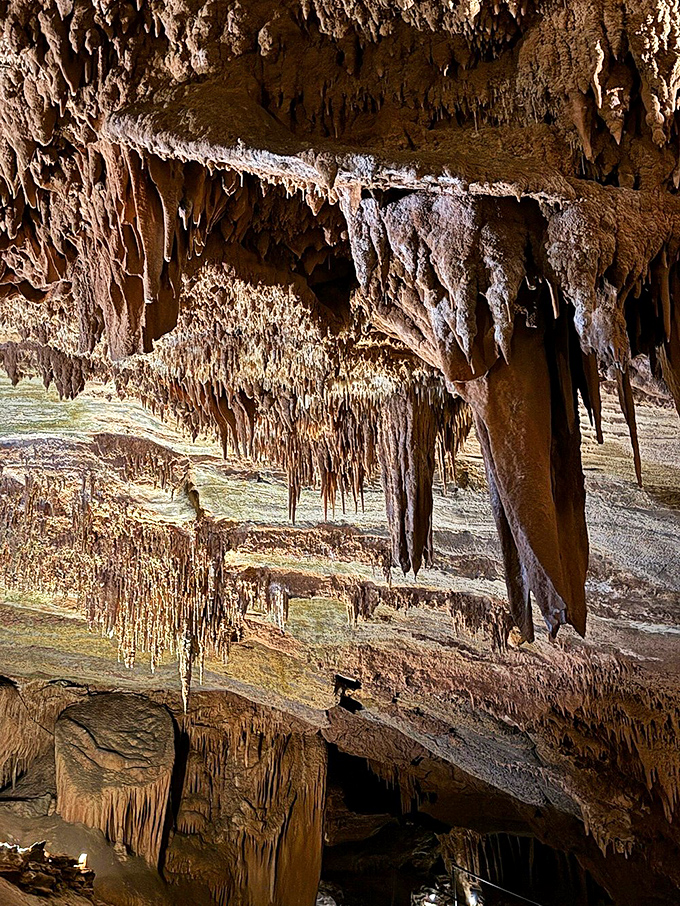 The ceiling drips with geological jewelry, each stalactite a testament to the artistic collaboration between water, minerals, and time.