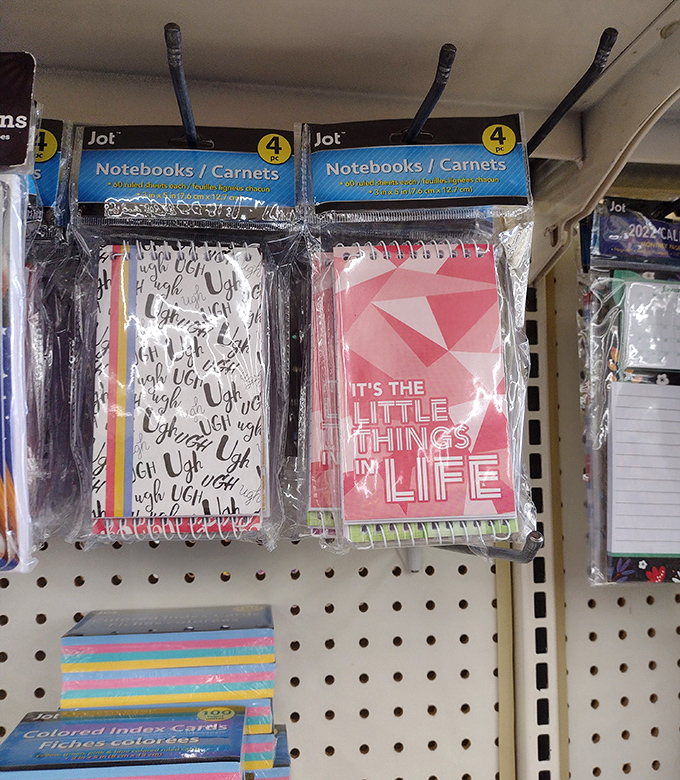 Notebooks promising organization in a chaotic world &ndash; because sometimes the path to productivity starts with pretty stationery.