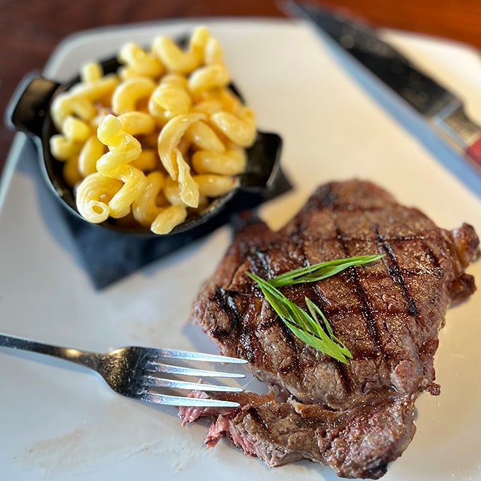 When steak meets mac and cheese, it's not just a meal—it's a beautiful relationship that deserves its own romantic comedy. Those grill marks tell the whole story.