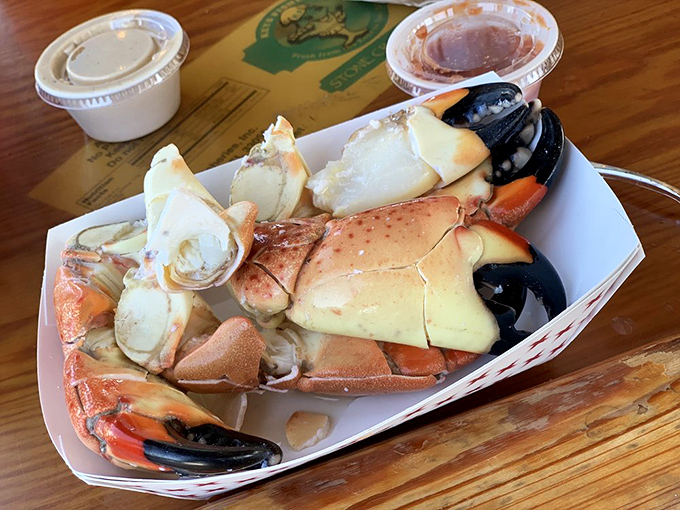 Stone crab claws—Florida's edible gold. These sustainable delicacies are served chilled with mustard sauce that would make Grey Poupon jealous.