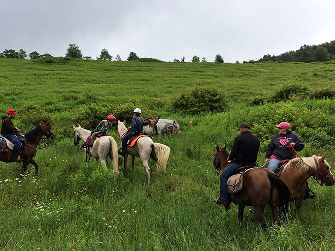 Saddle up for Summit Trail Rides through Potter County's rolling meadows. These riders aren't just on horseback &ndash; they're experiencing Pennsylvania the way settlers once did.