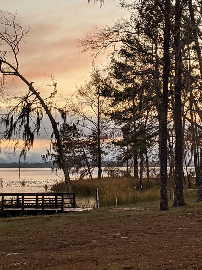 Florida sunsets at Three Rivers paint the sky in colors that would make even the most talented Instagram filter jealous.