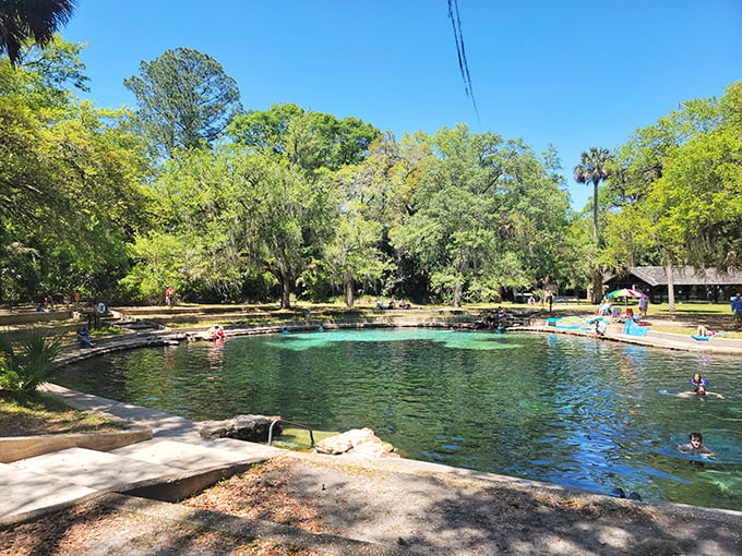 Florida's natural swimming pool: where the water is always 72 degrees and you might share your swim with turtles instead of tourists.