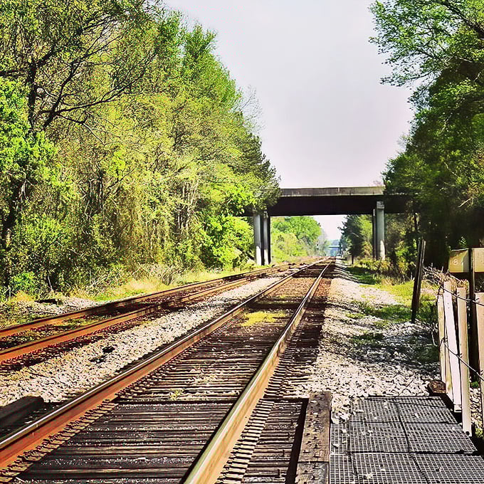 Railroad tracks stretch toward the horizon, a metaphor for Rocky Mount's journey from industrial past to reimagined future.