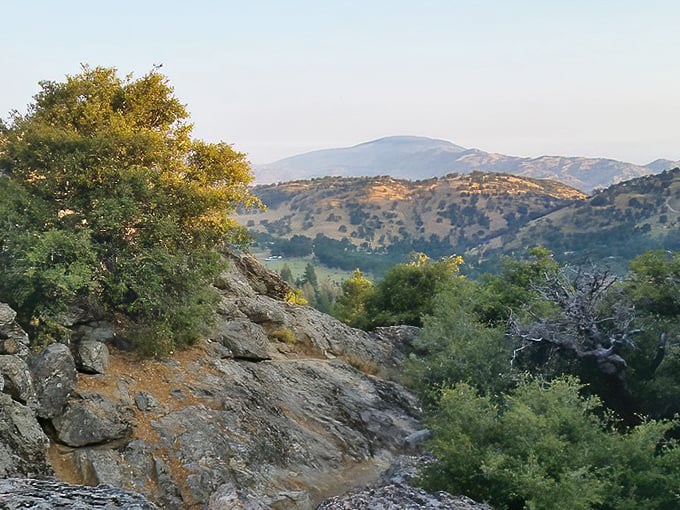 These golden hills cradle Tehachapi in nature's embrace, offering hiking trails where the only traffic is an occasional deer.