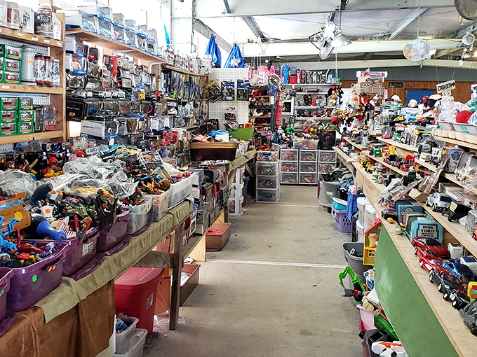 A toy collector's fever dream where childhood memories stack floor to ceiling. Marie Kondo would have a panic attack here.