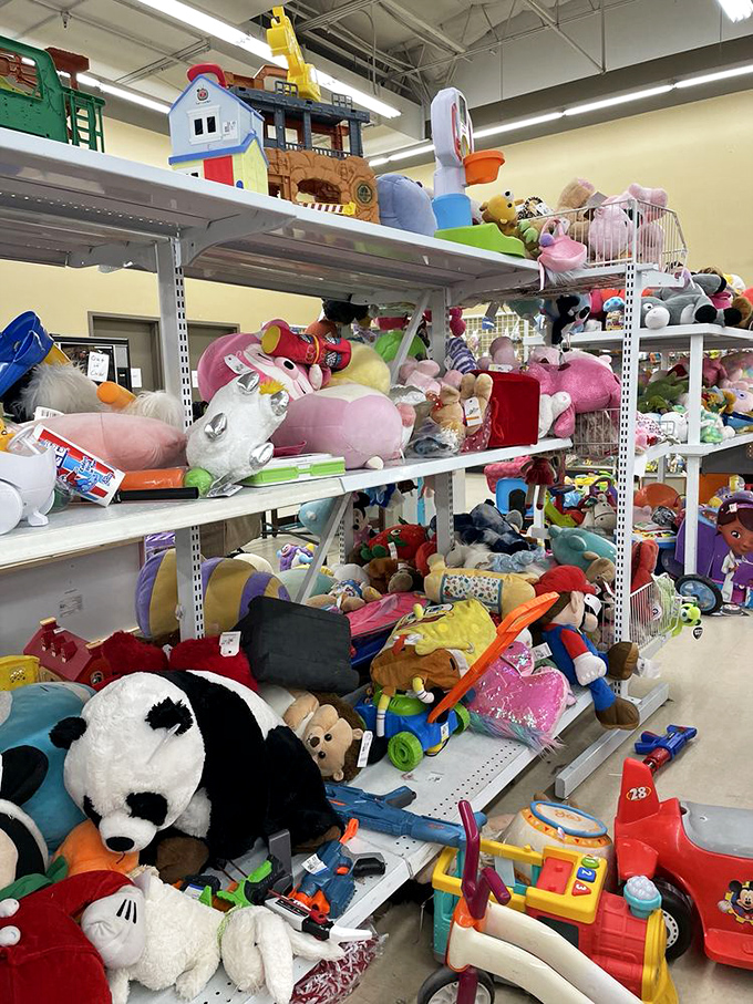 The stuffed animal mountain range&mdash;a plush paradise where forgotten teddy bears and pandas wait for second-chance hugs.