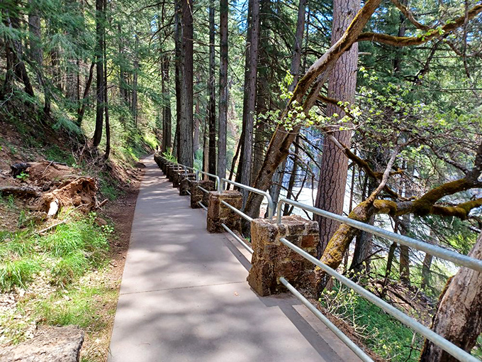 The paved trail winds through towering pines, offering tantalizing glimpses of the falls while keeping you from tumbling into the creek below.