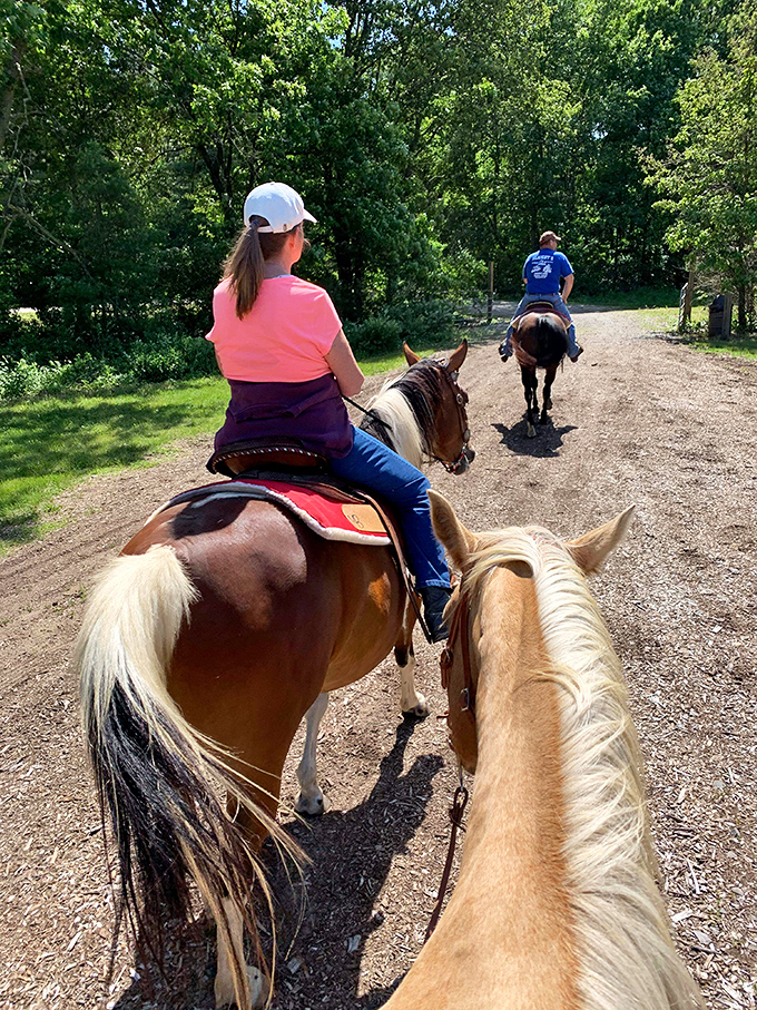 Horseback riding trails offer the original four-hoofed drive experience. These equine tour guides know the forest paths better than any GPS.