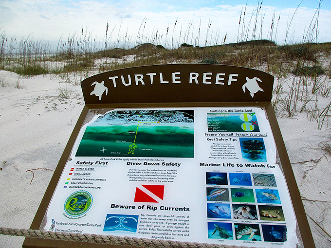 The Turtle Reef sign: educational enough to make you feel virtuous while you're essentially playing hooky from real life.