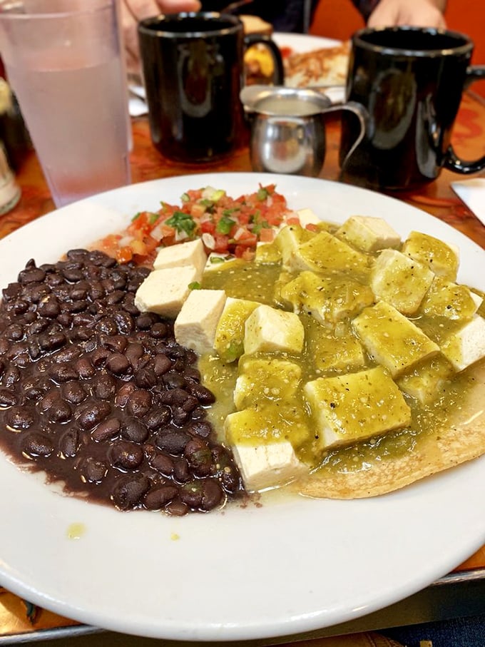Vegan food that makes carnivores do a double-take. Black beans, tofu, and green sauce creating harmony that transcends dietary preferences.