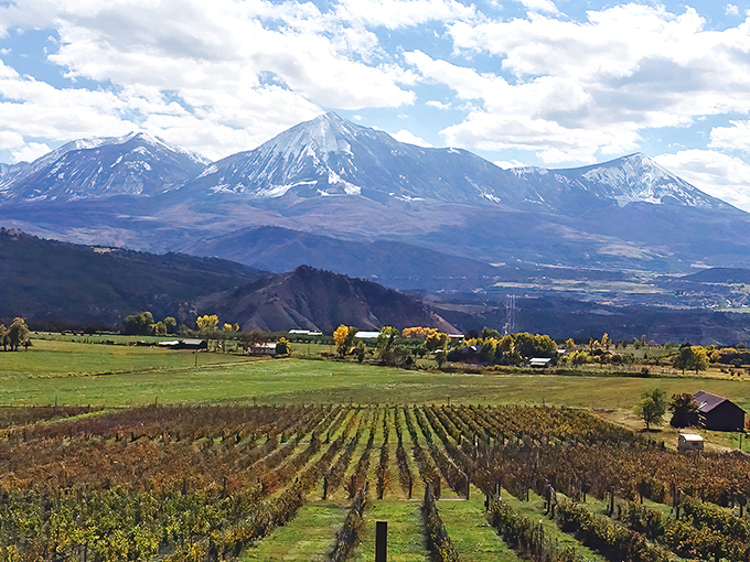 Mountains stand sentinel over vineyards that shouldn't exist at this altitude but thrive anyway &ndash; much like Paonia's independent spirit.