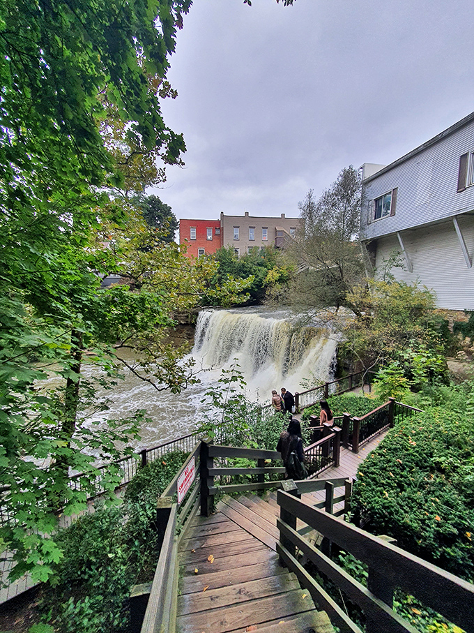 These wooden boardwalks offer waterfall views so mesmerizing you'll forget to check your phone &ndash; possibly the eighth wonder of the modern world.