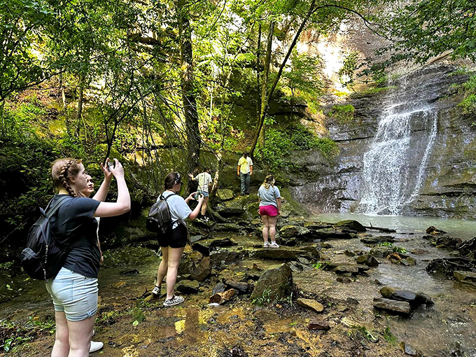 Mother Nature doesn't check your bank balance before putting on a show. These nearby waterfalls offer million-dollar views for free.