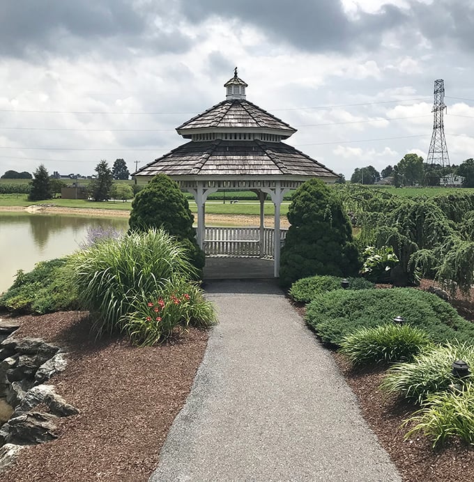 This gazebo isn't just picturesque&mdash;it's the kind of spot where proposals happen and photographers frantically adjust their settings to capture perfect golden hour light.