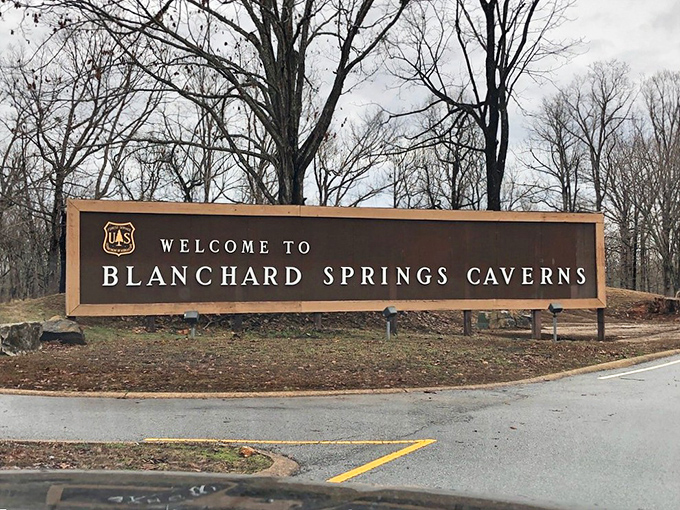 The sign says "Welcome," but what it really means is "Prepare to have your mind blown by what's underneath this ordinary-looking forest."