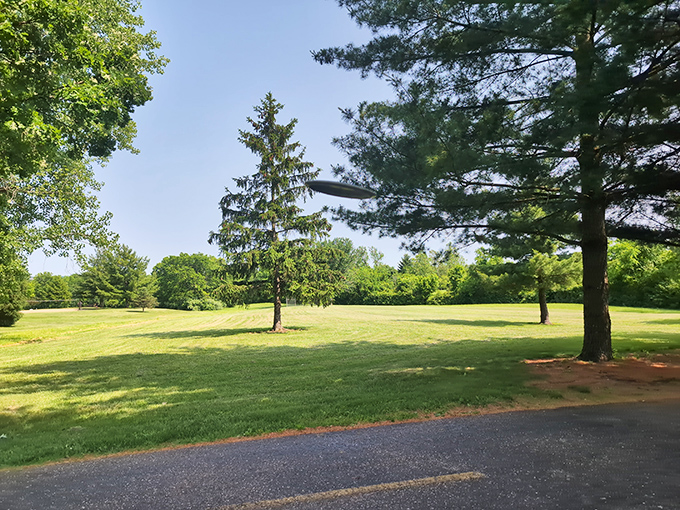 William Harbin Park's sprawling green spaces invite both ambitious hikers and those who prefer their nature viewing from a comfortable park bench.
